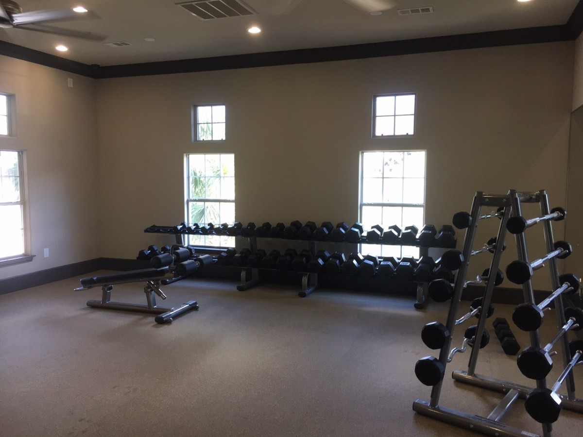 The Landing at Round Rock - Vector Concepts